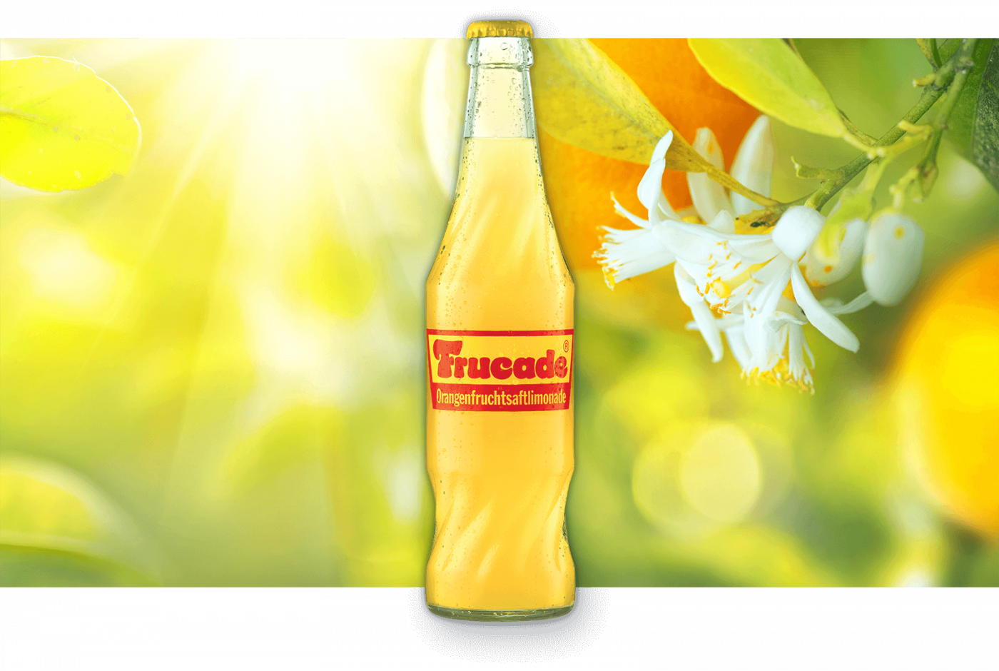 Seit 1952 › Frucade.at