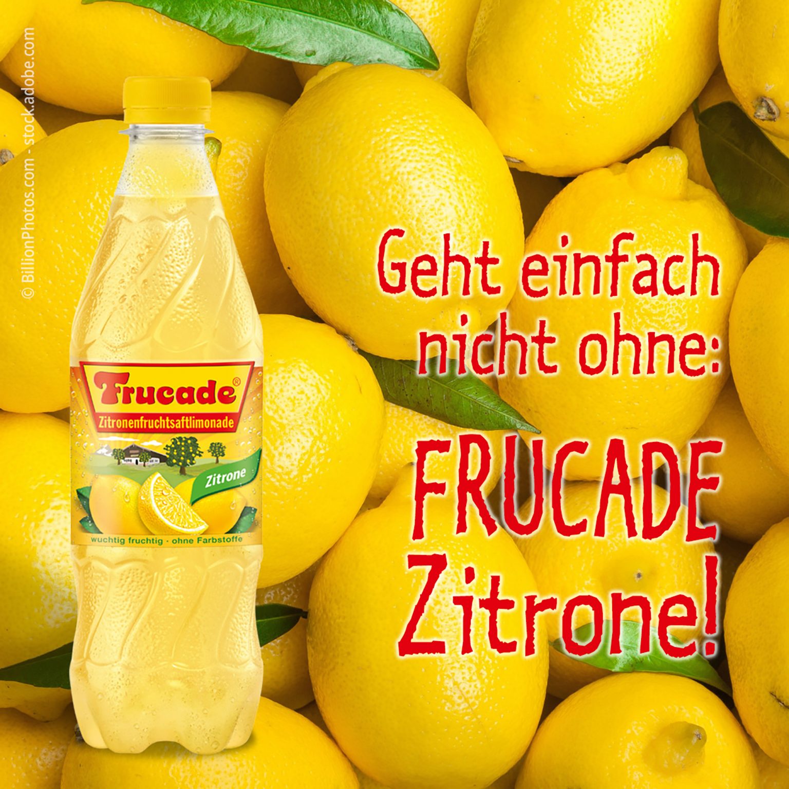 So viel Frucht ist nicht zu fassen. › Frucade.at